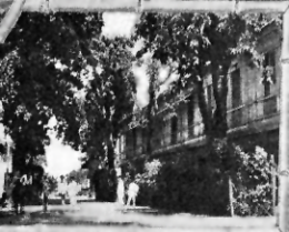 The Battle of Alapan — Philippine Flag Day – The Maritime Review