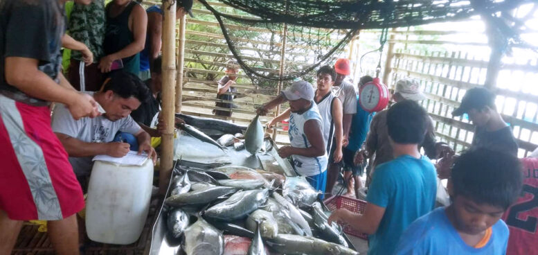 Lambaklad Project in Mindoro Improves Fish Catch – The Maritime Review