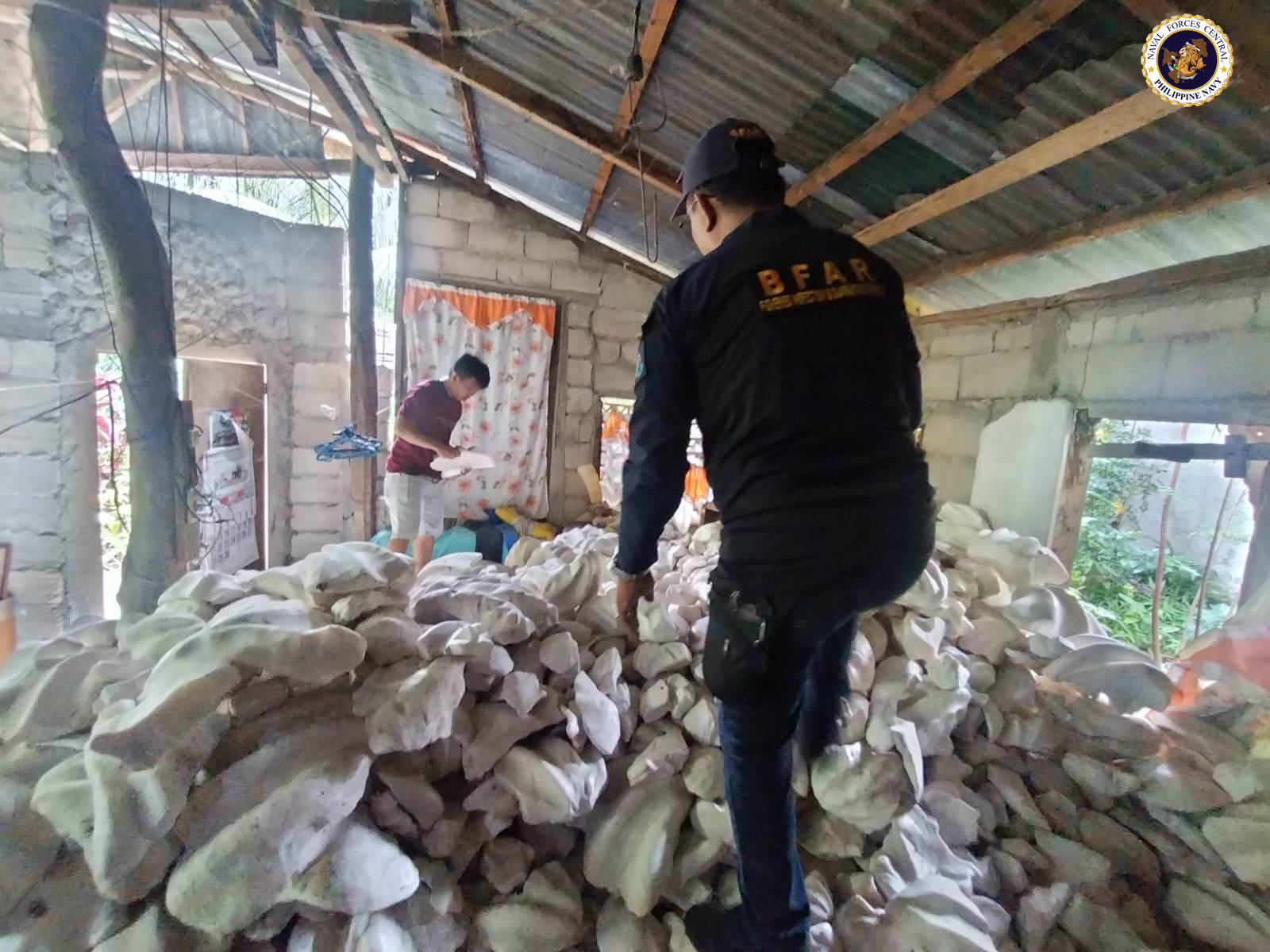 Naval Forces Central Leads the Recovery of Endangered Marine Species in ...